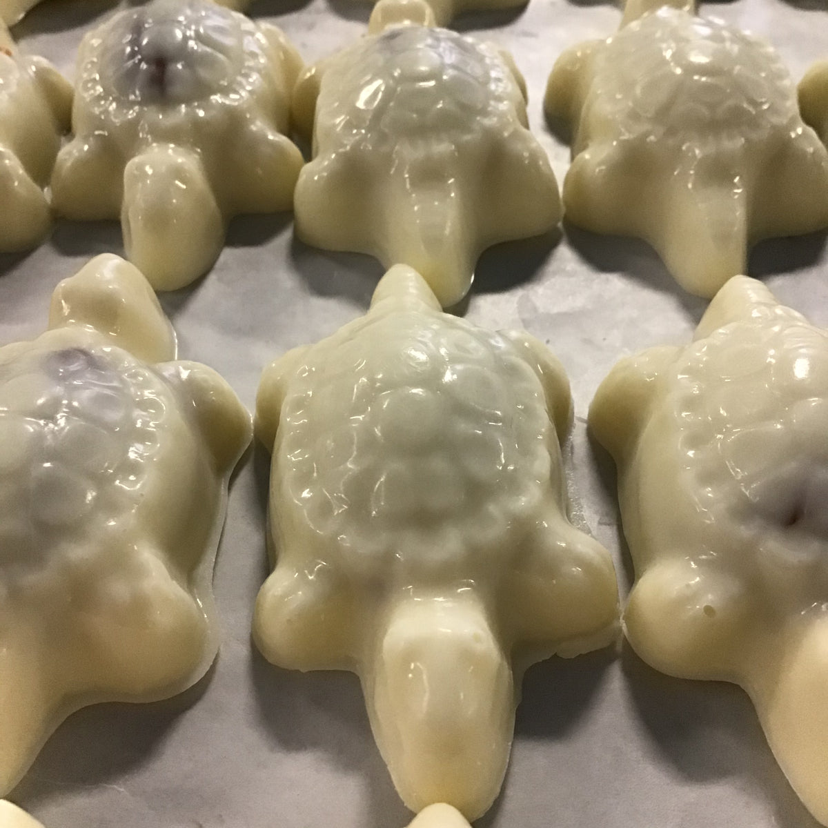 Turtles – Sweets N Treats Debbie